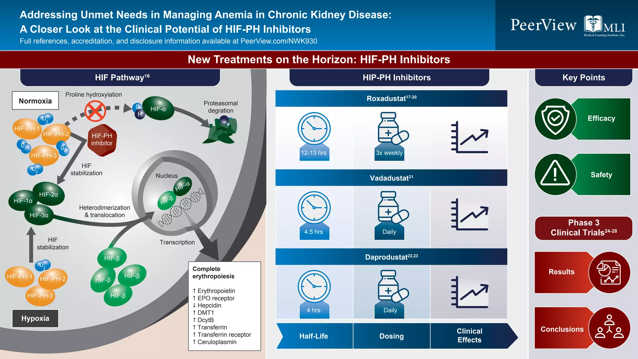 Addressing Unmet Needs in Managing Anemia in Chronic Kidney Disease: A ...