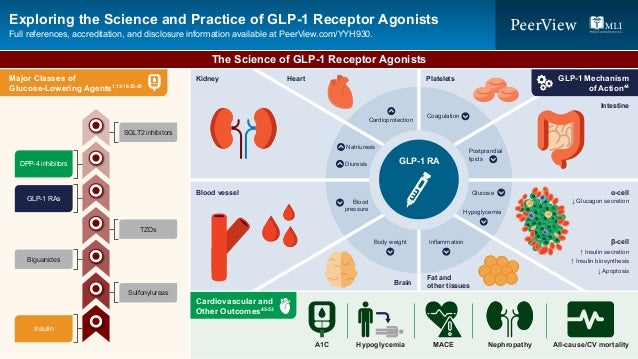 Exploring the Science and Practice of GLP-1 Receptor Agonists: An Upd…