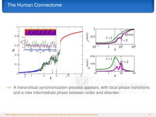 Kuramoto dynamics, glassy synchronization and rare regions in the human connectome - Pablo ...