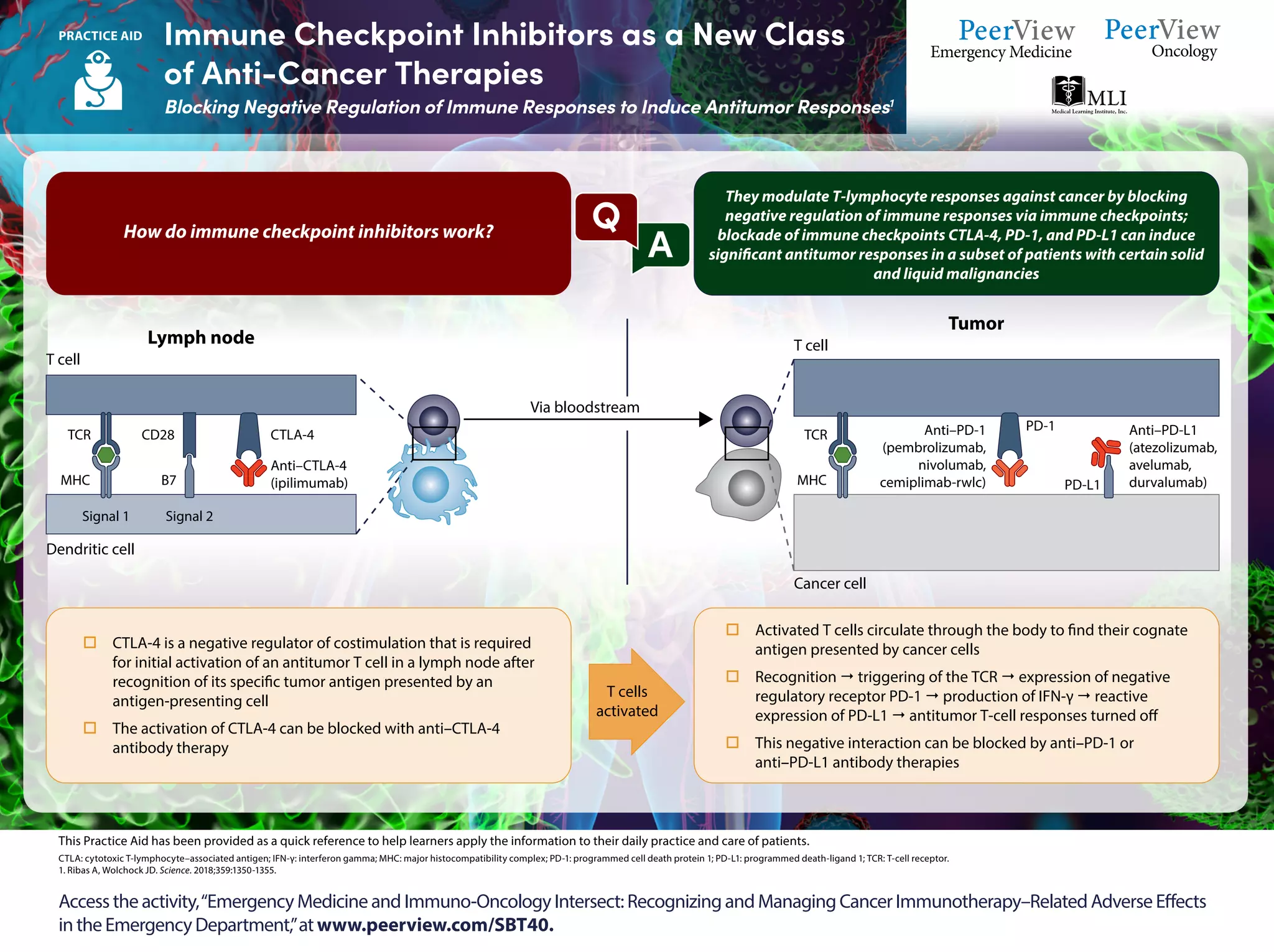 Emergency Medicine and Immuno-Oncology Intersect: Recognizing and ...