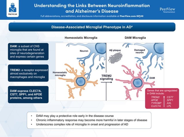 Visualizing the Role of Neuroinflammation in the Pathophysiology and ...