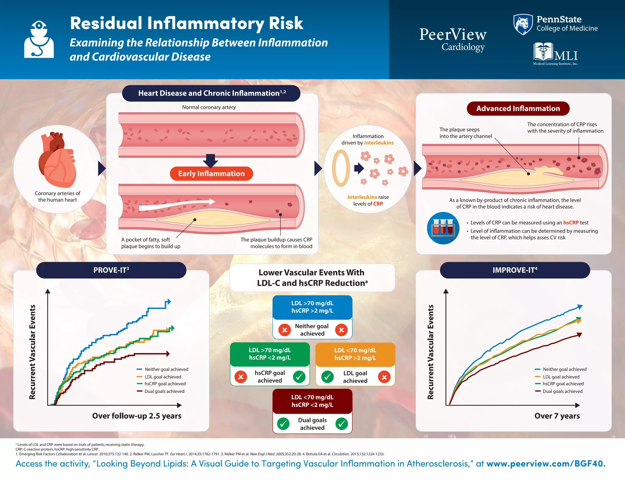 Looking Beyond Lipids: A Visual Guide to Targeting Vascular ...