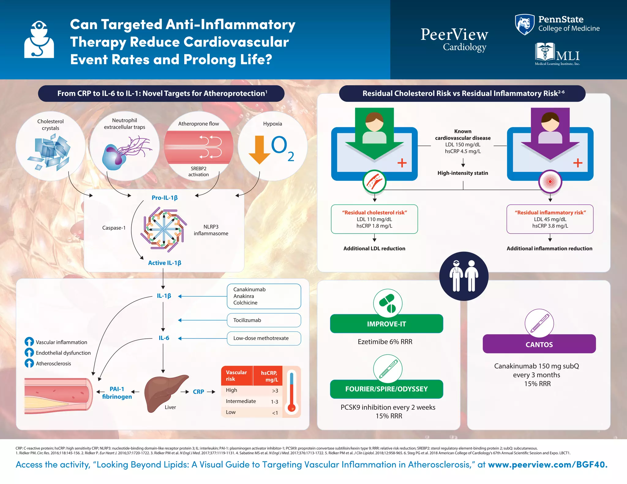 Looking Beyond Lipids: A Visual Guide to Targeting Vascular ...