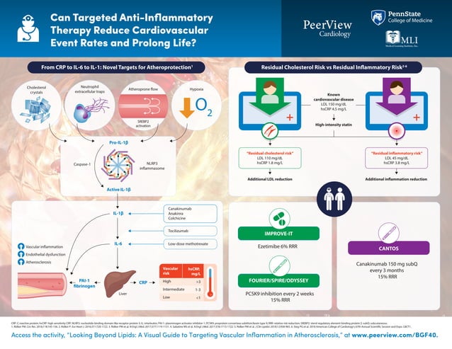 Looking Beyond Lipids: A Visual Guide to Targeting Vascular ...