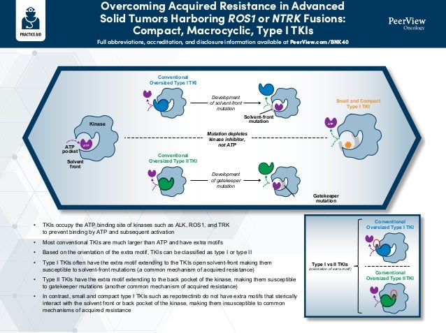 Visual Exploration of the Possibilities for Macrocyclic TKIs in ...