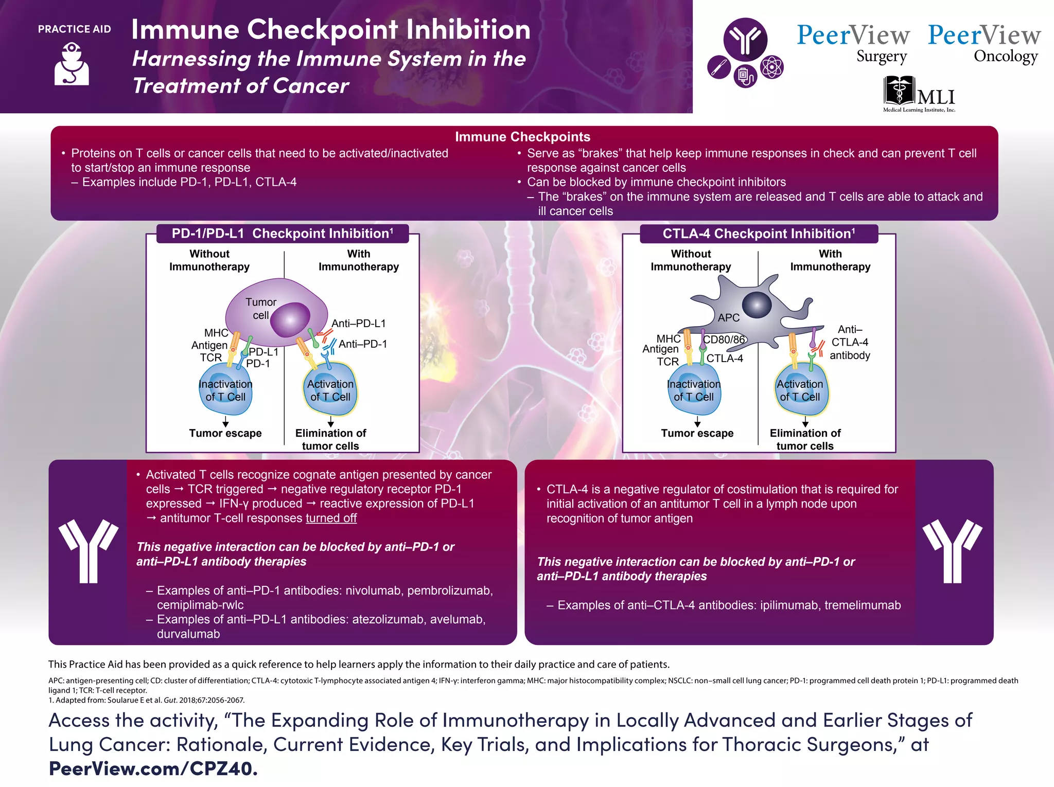 Lung Cancer Immunotherapy Trials Sfspf