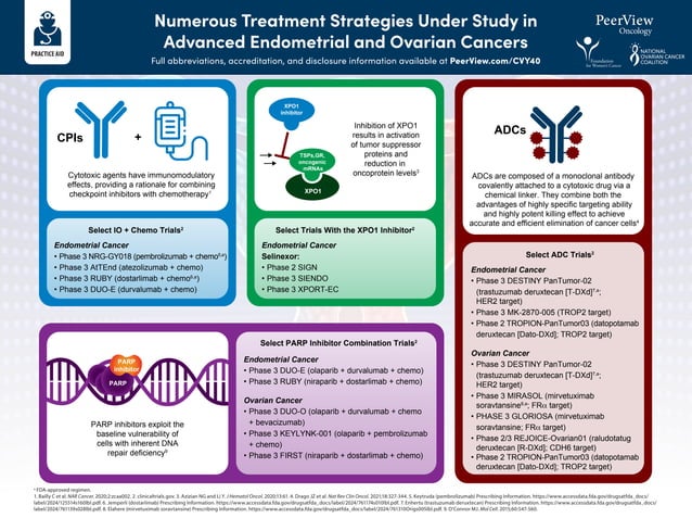 Redefining Endometrial and Ovarian Carcinoma Care: Maximizing the Clinical Potential of ...
