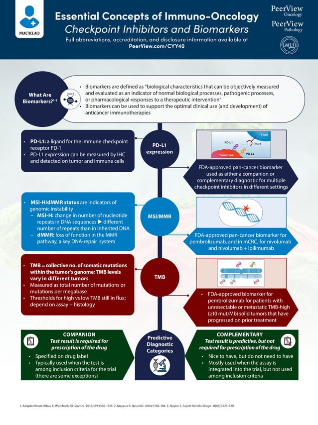 Revisiting PD-L1 as an Immunotherapy Biomarker Across the Cancer Spectrum: Current and Emerging ...