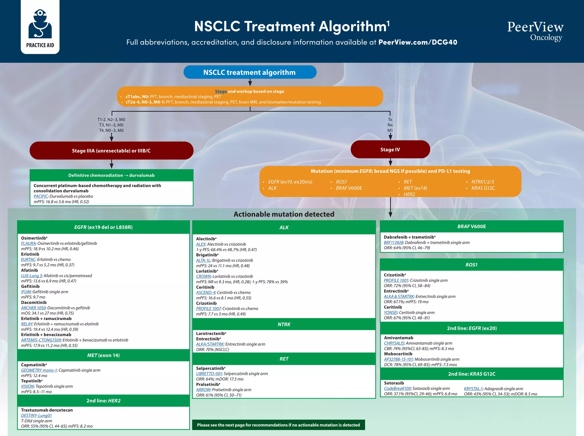 Refining Precision Decisions in NSCLC With Common and Less Common EGFR ...