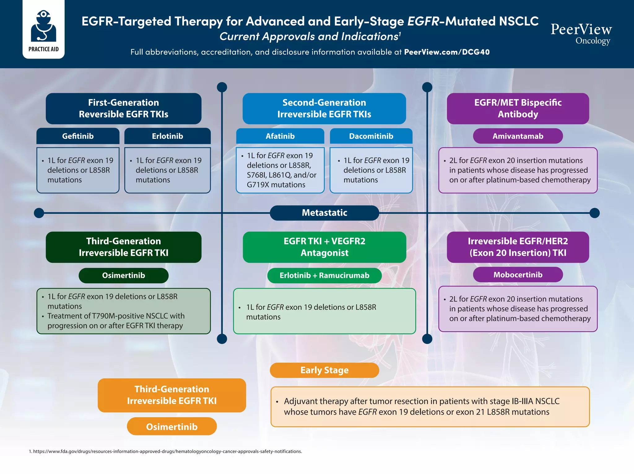 Refining Precision Decisions in NSCLC With Common and Less Common EGFR ...
