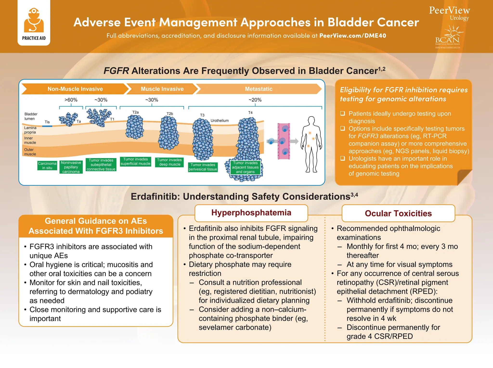Harnessing Innovation in Bladder Cancer Care: Strategies for ...