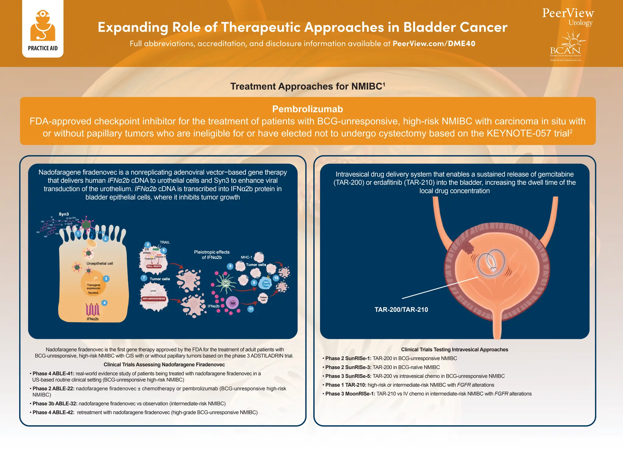 Harnessing Innovation in Bladder Cancer Care: Strategies for ...