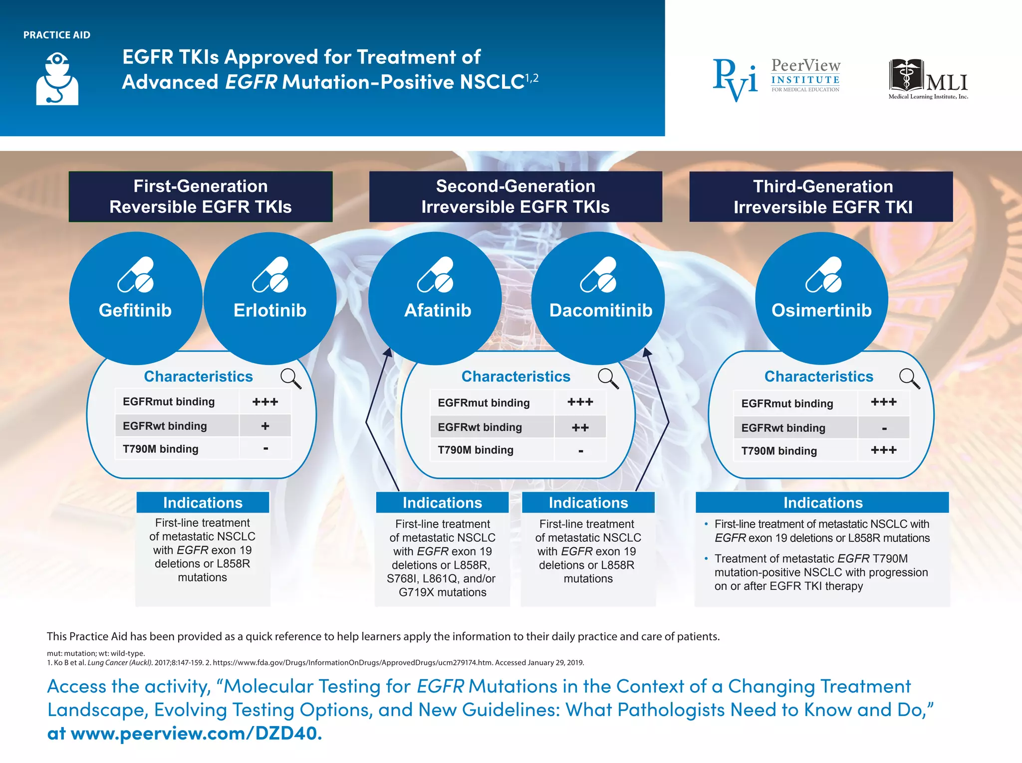 Molecular Testing for EGFR Mutations in the Context of a Changing ...