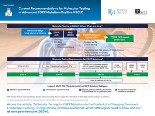 Molecular Testing for EGFR Mutations in the Context of a Changing ...