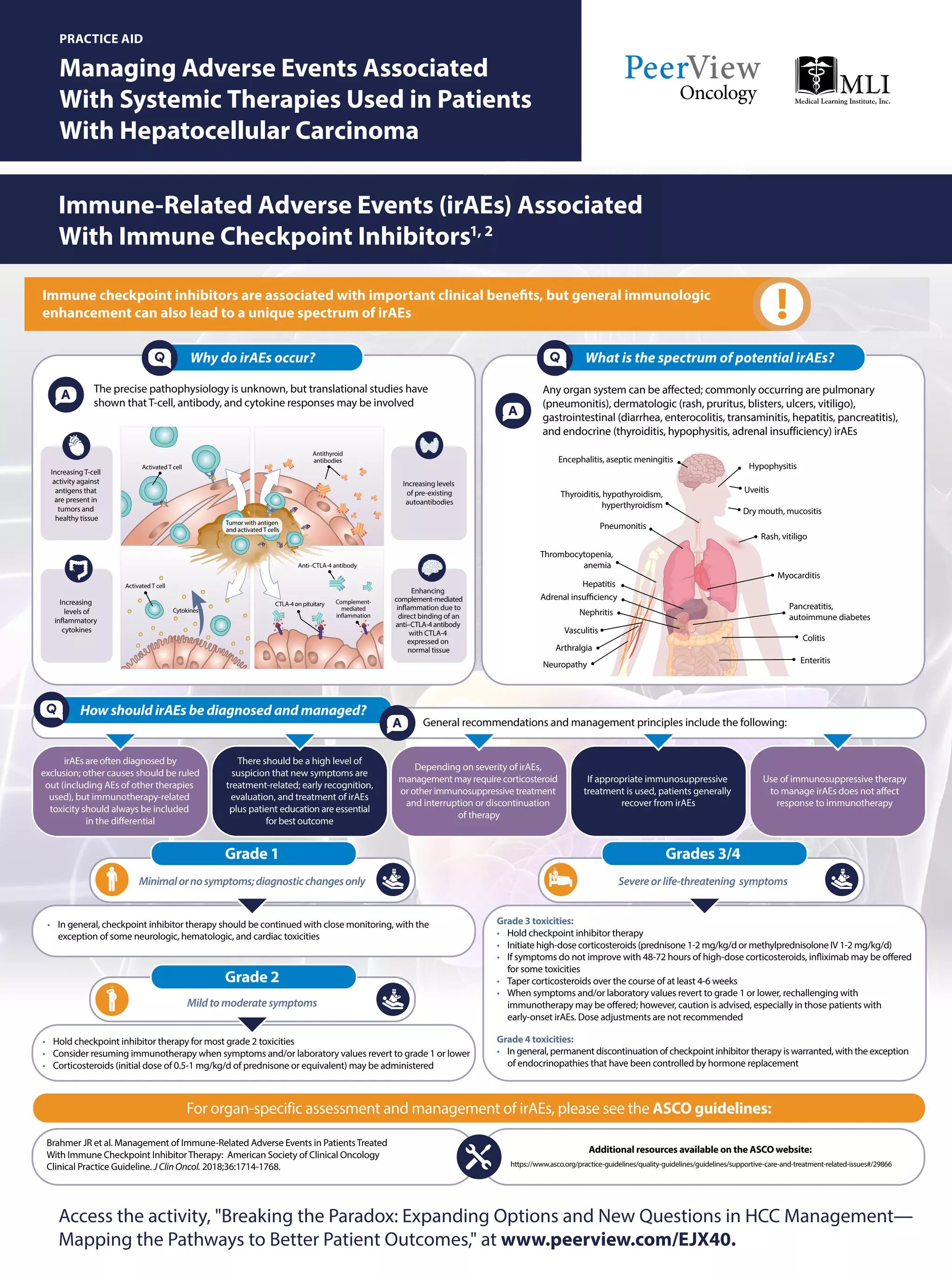 Breaking the Paradox: Expanding Options and New Questions in HCC ...