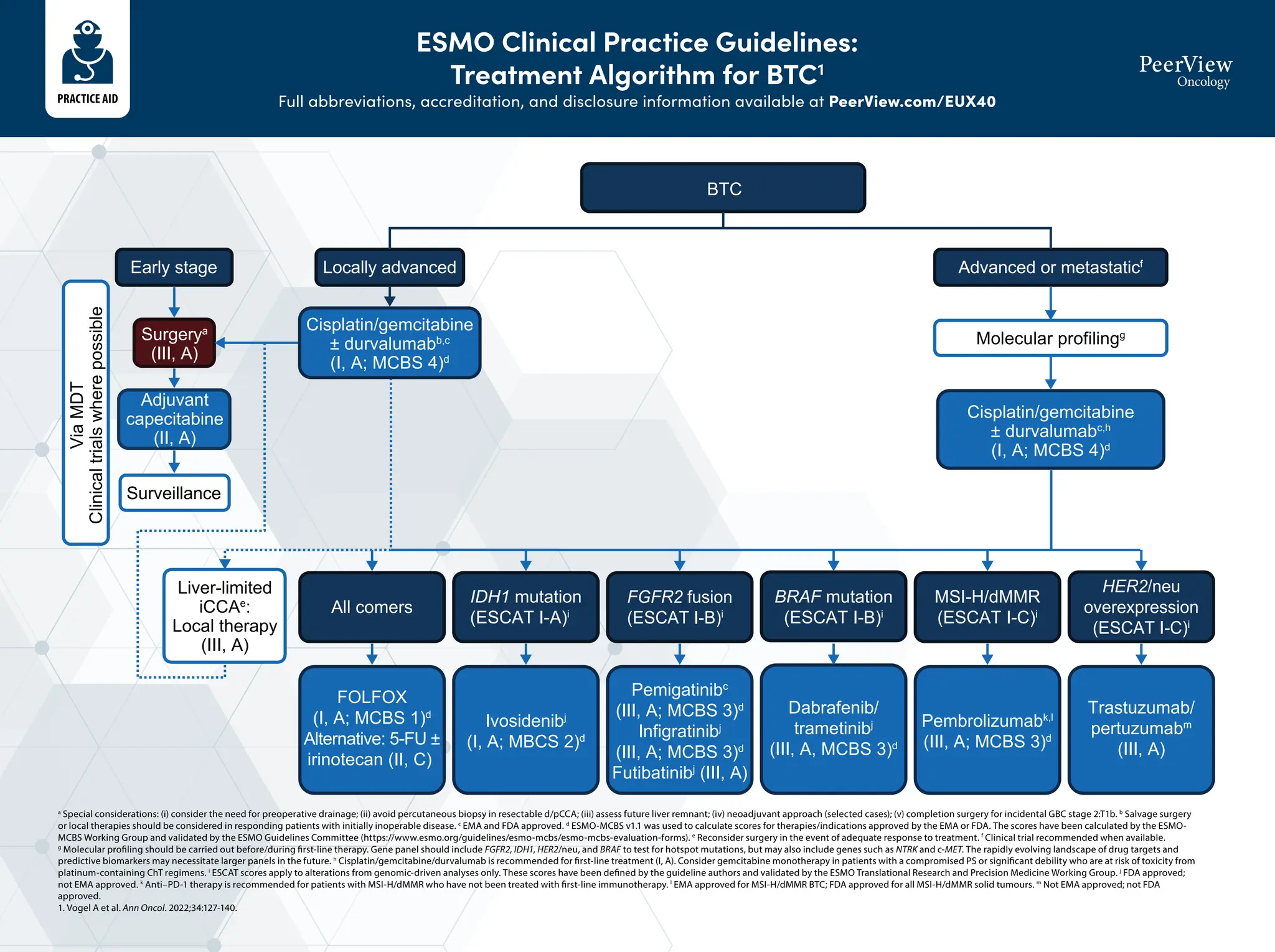 Prioritising Patient-Centric Care in Biliary Tract Cancer: Leveraging ...