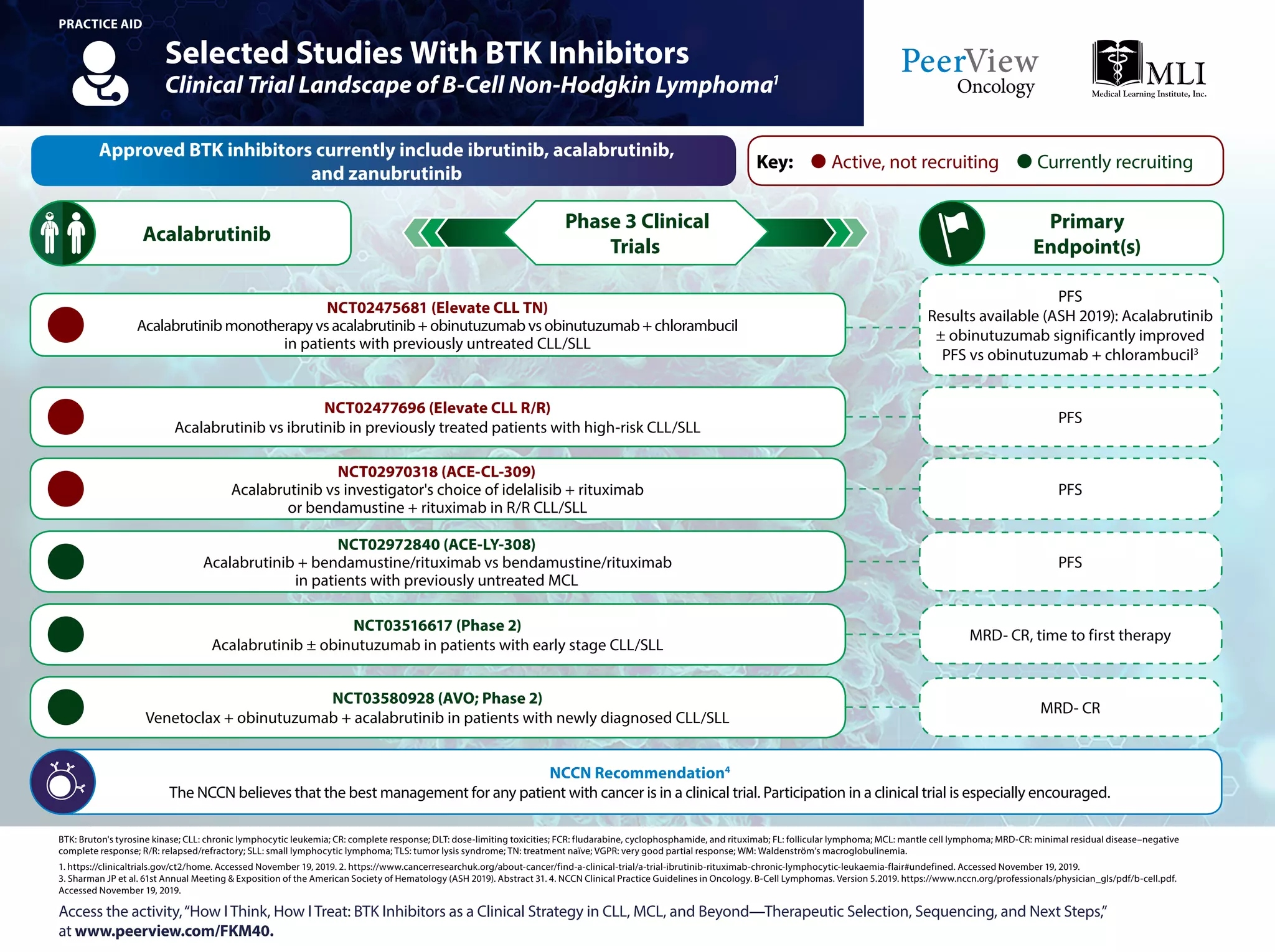 How I Think, How I Treat: BTK Inhibitors as a Clinical Strategy in CLL ...