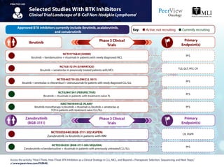 How I Think, How I Treat: BTK Inhibitors as a Clinical Strategy in CLL ...