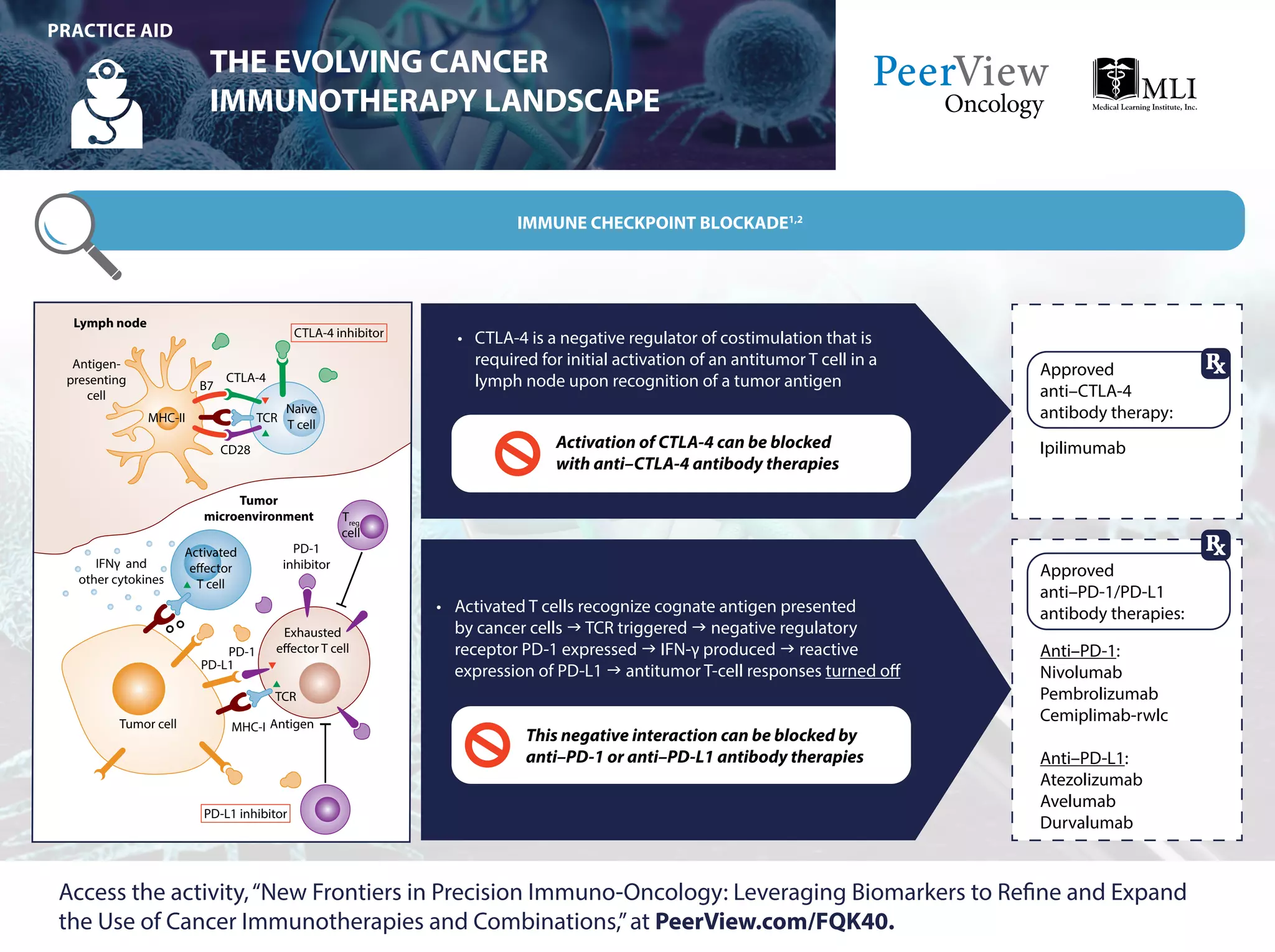 New Frontiers in Precision Immuno-Oncology: Leveraging Biomarkers to Refine and Expand the Use ...