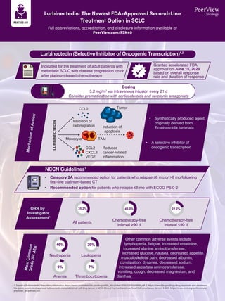 Facilitating Progress in the Treatment of SCLC: How to Optimize the Use ...