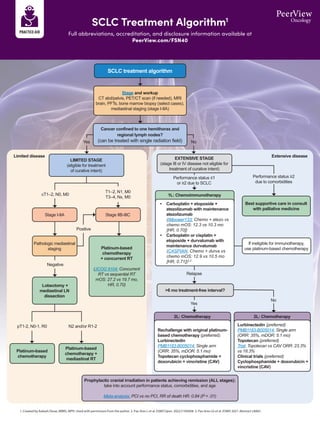 Facilitating Progress in the Treatment of SCLC: How to Optimize the Use ...