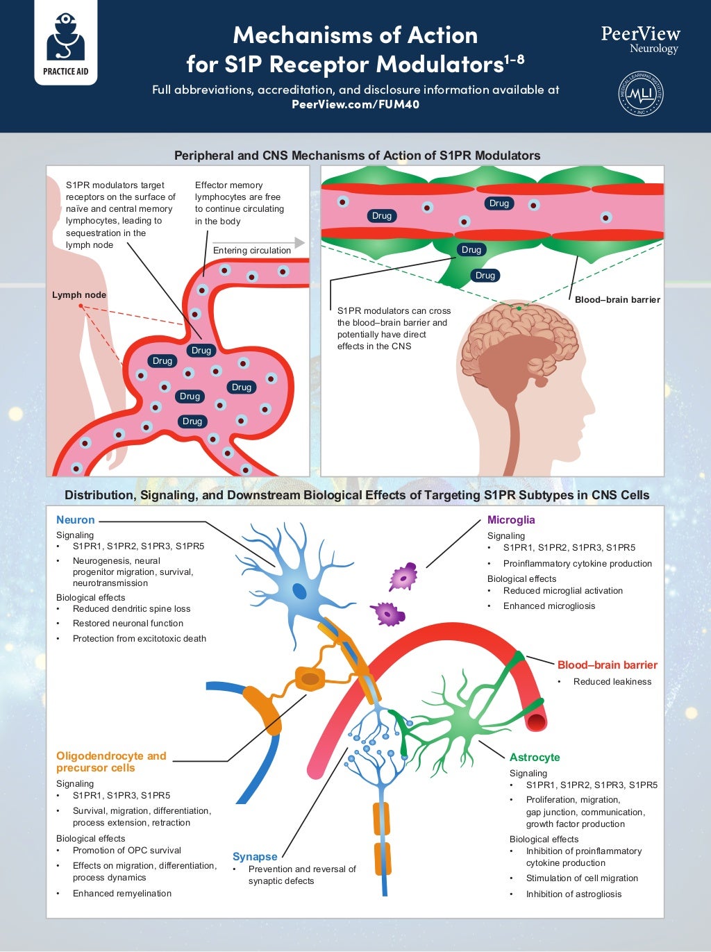 Exploring the Convergence of Advances in S1P Receptor Modulation With…