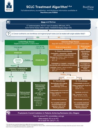 Catalysts for Change in SCLC: Optimizing the Use of Standard Therapies and Accelerating the ...