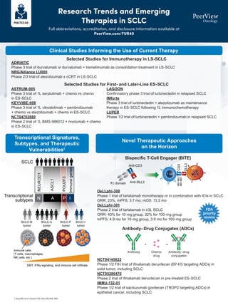 Catalysts for Change in SCLC: Optimizing the Use of Standard Therapies ...