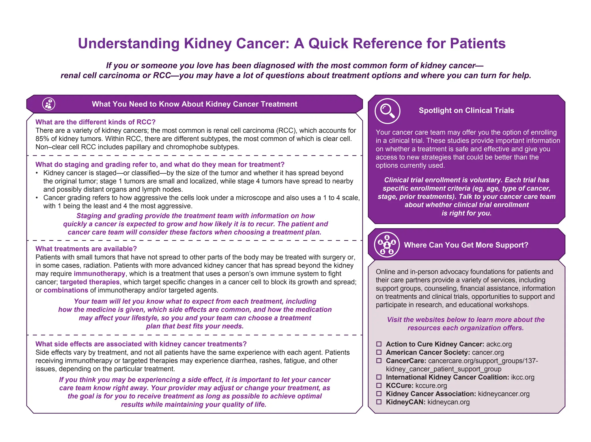 A Roadmap for Modern RCC Care: Navigating Personalized Treatment ...