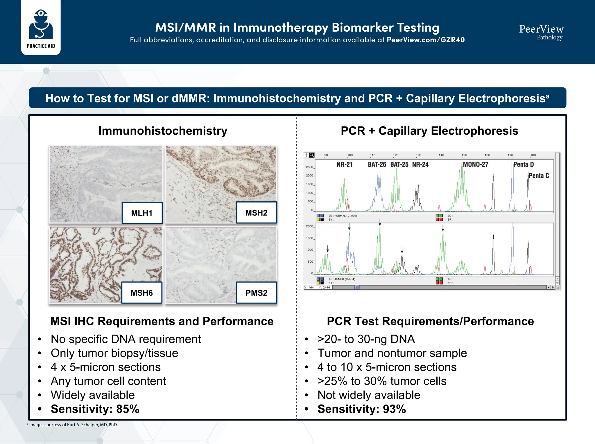 PATHway to Decoding the Impact of Cancer Immunotherapy: Latest Advances ...