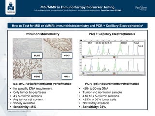 PATHway to Decoding the Impact of Cancer Immunotherapy: Latest Advances ...