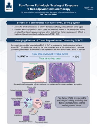 PATHway to Decoding the Impact of Cancer Immunotherapy: Latest Advances ...