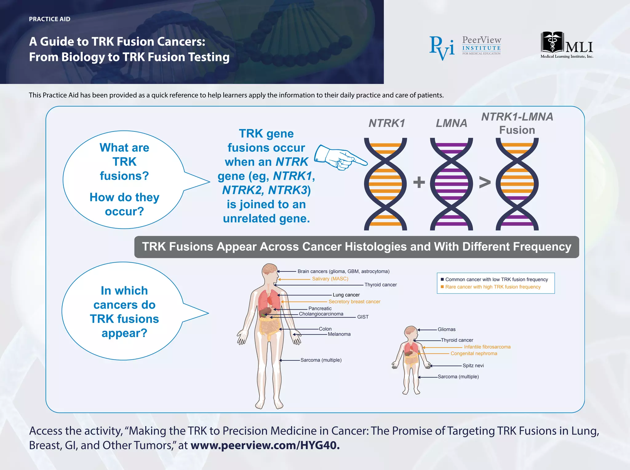 Making the TRK to Precision Medicine in Cancer: The Promise of ...