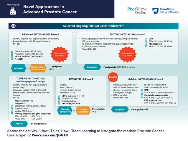 How I Think, How I Treat: Learning to Navigate the Modern Prostate ...
