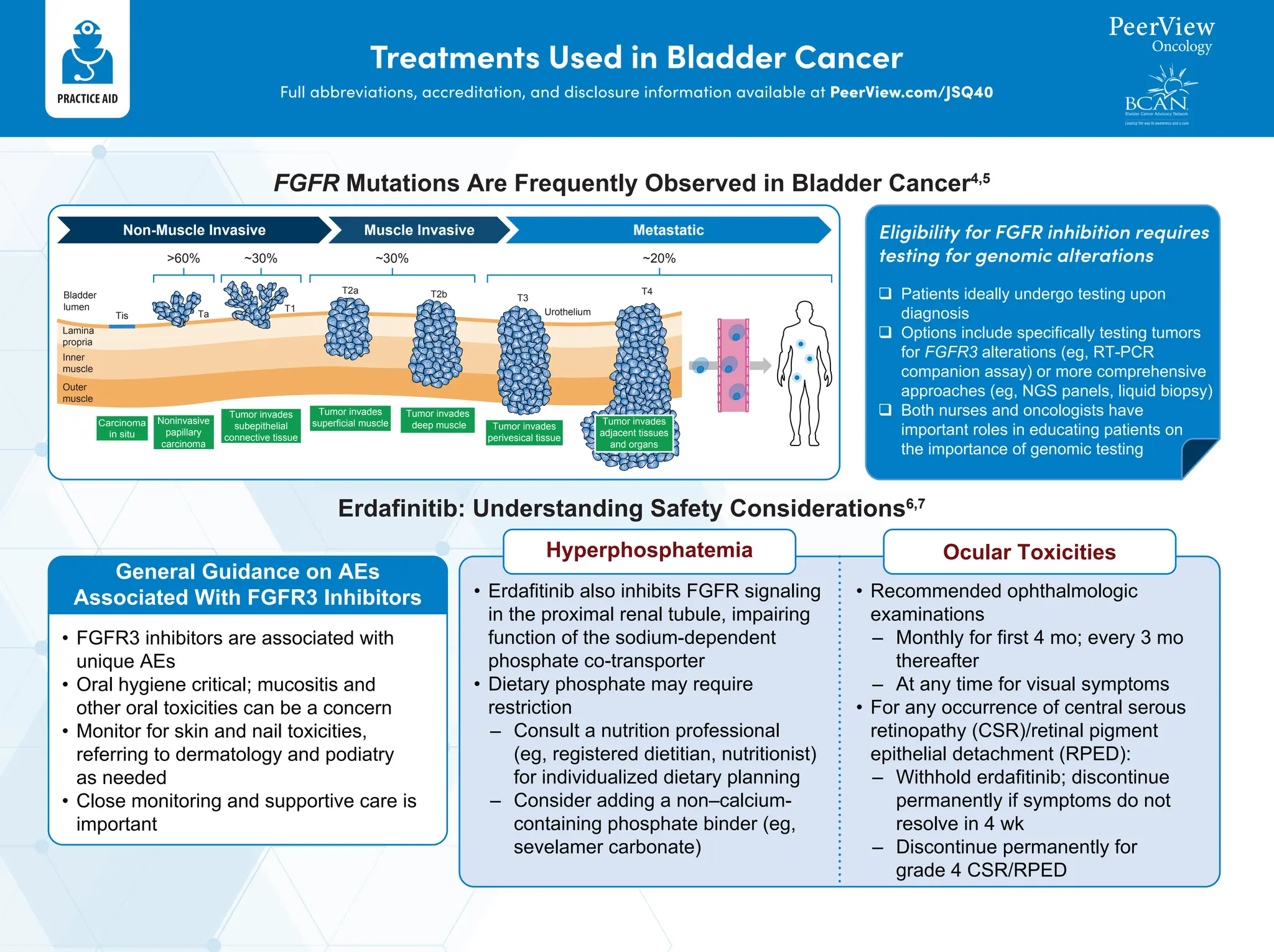 Making an Impact in Bladder Cancer Care: Integrating the Latest ...
