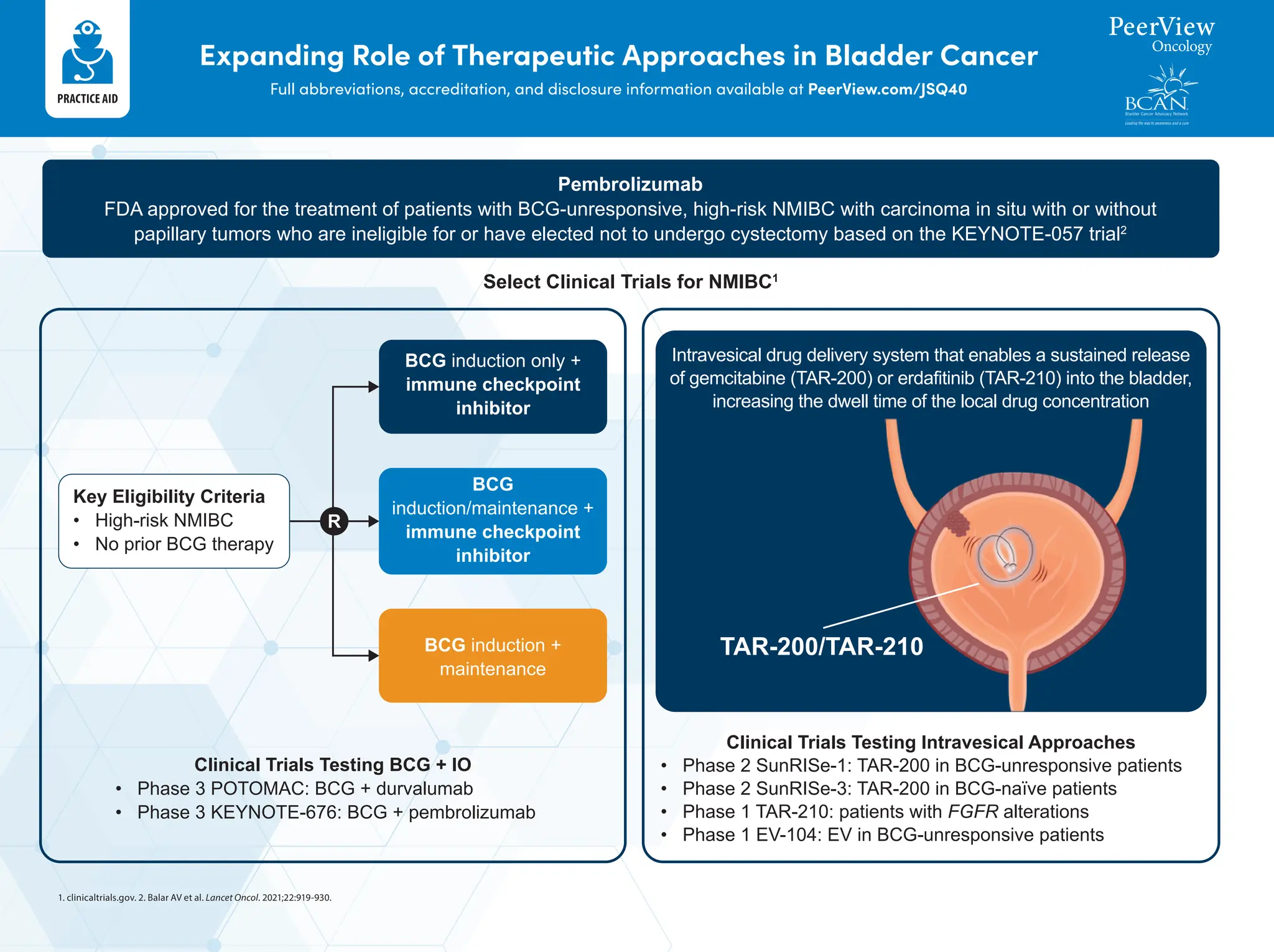 Making an Impact in Bladder Cancer Care: Integrating the Latest ...