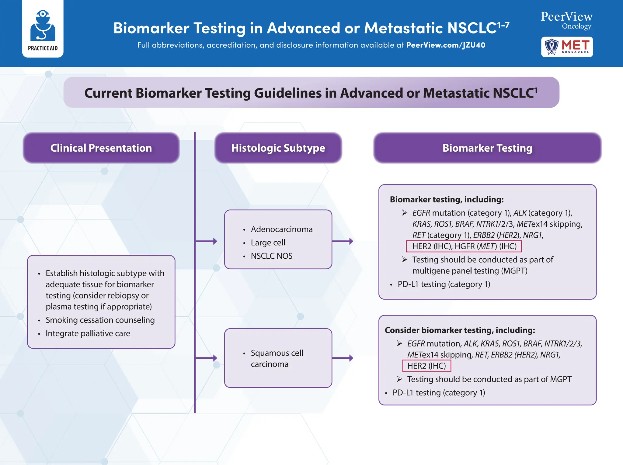 Addressing un-MET Needs in NSCLC: Elevating MET-Targeting Options for ...