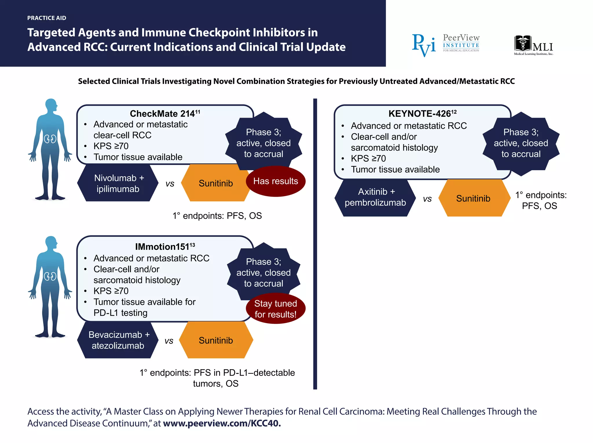 A Master Class on Applying Newer Therapies for Renal Cell Carcinoma ...