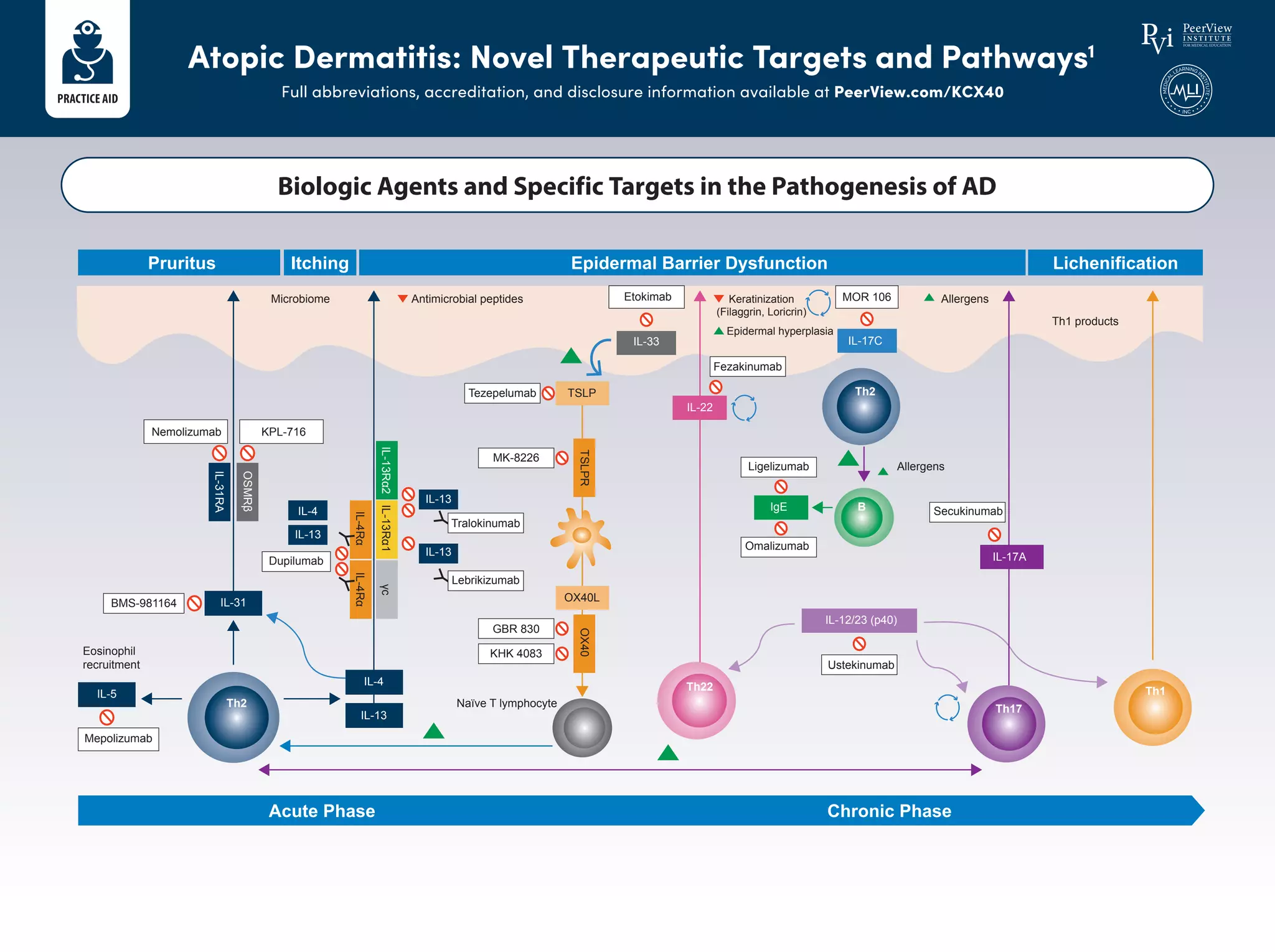 Advancing Care for People Living With Moderate to Severe Atopic ...