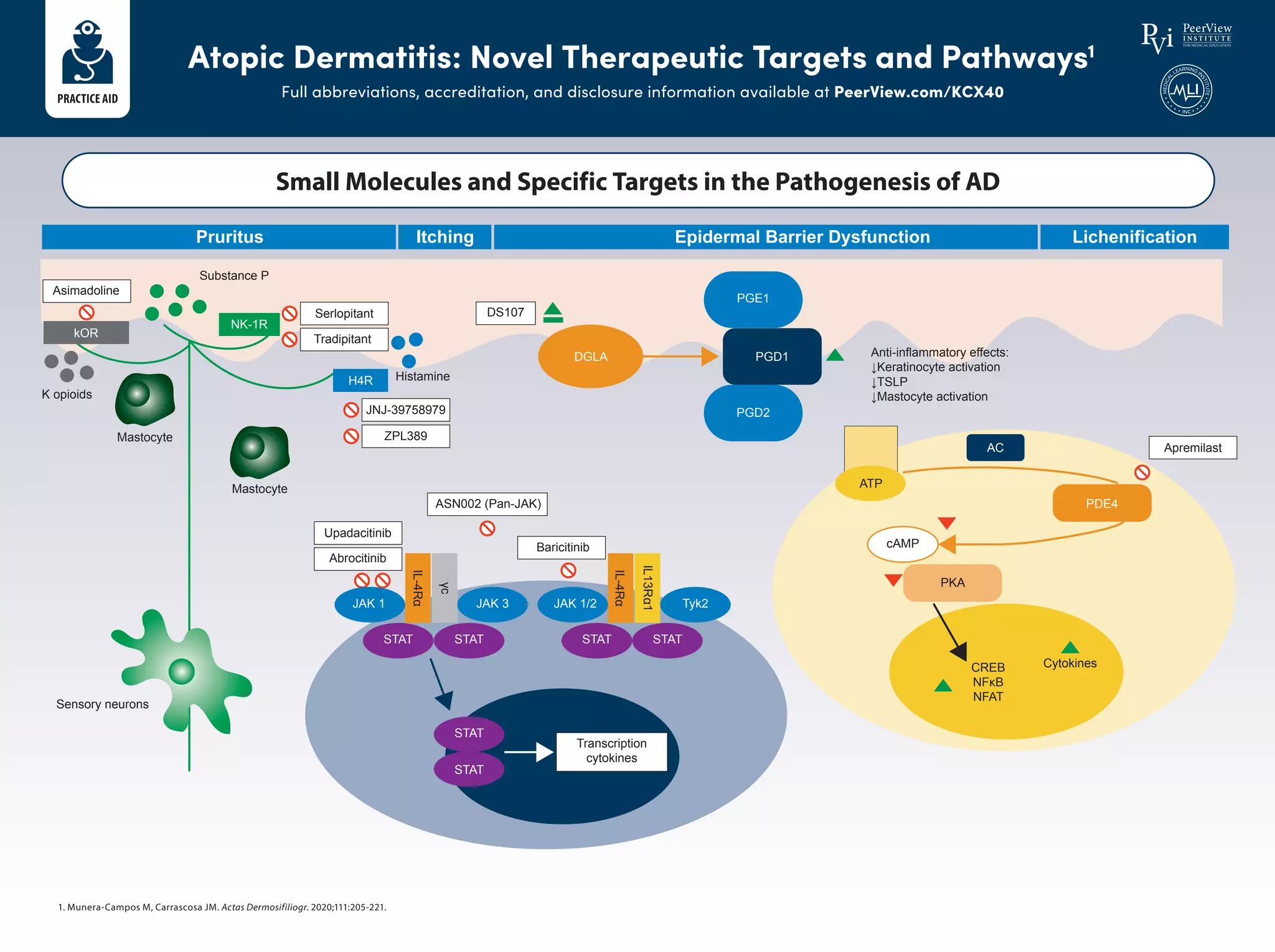 Advancing Care for People Living With Moderate to Severe Atopic ...