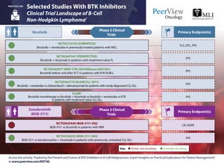 Exploring the Present and Future of BTK Inhibition in B-Cell ...