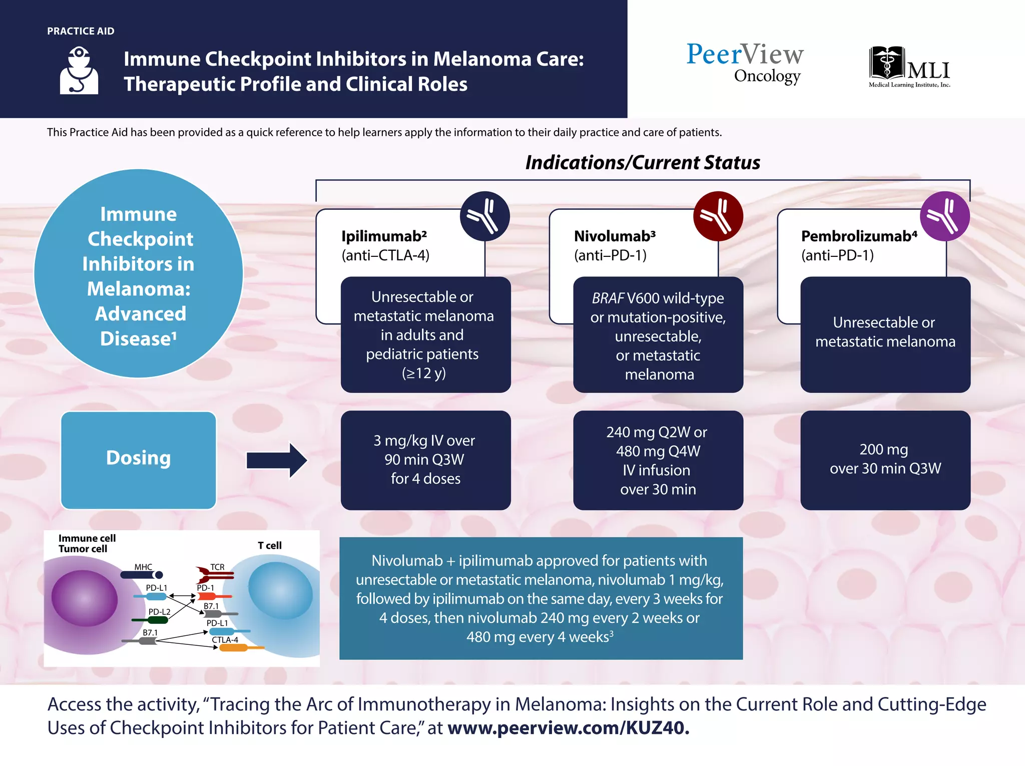 Tracing the Arc of Immunotherapy in Melanoma: Insights on the Current ...
