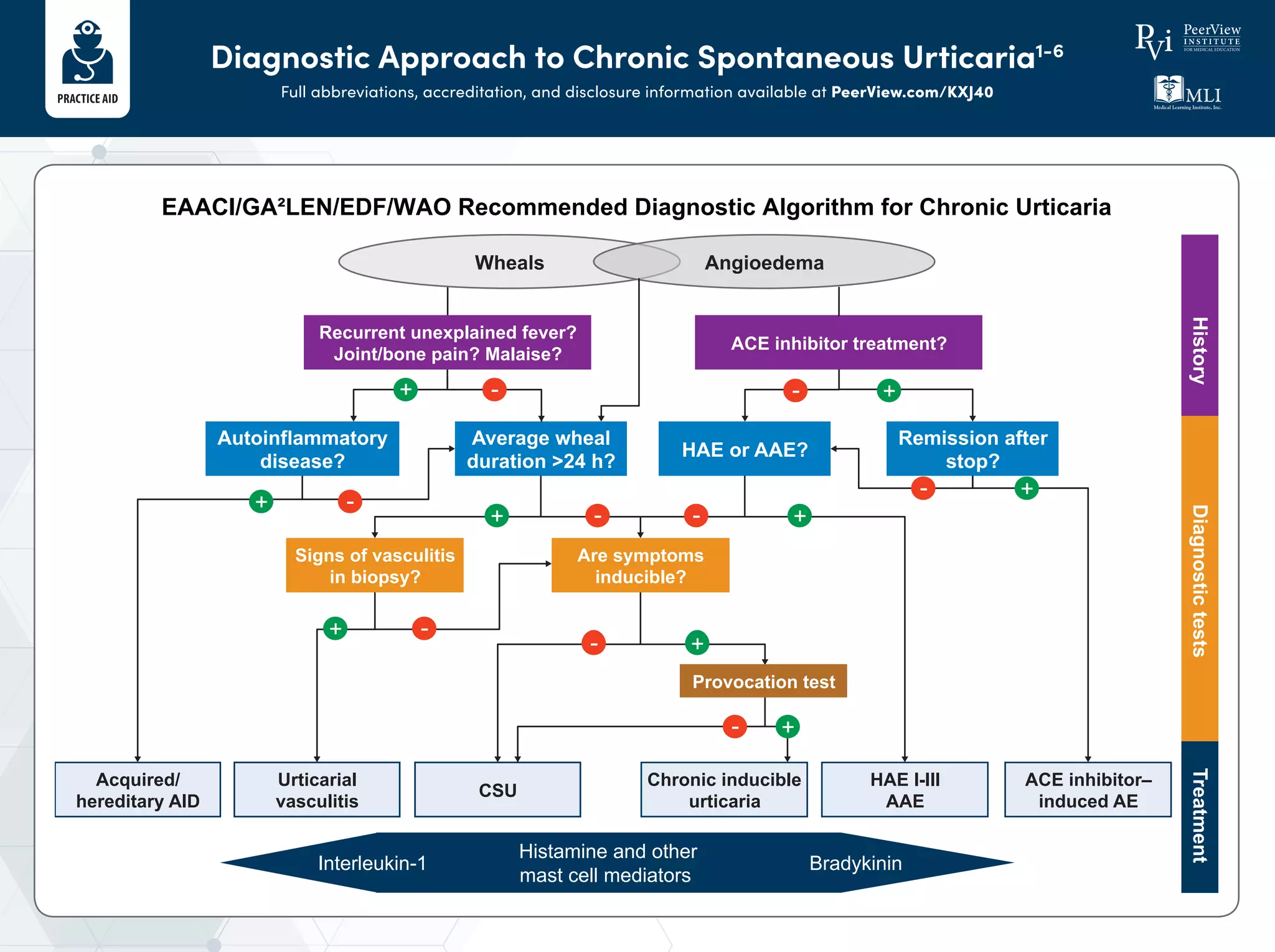 Chronic Spontaneous Urticaria From Diagnosis to Treatment: Unique ...