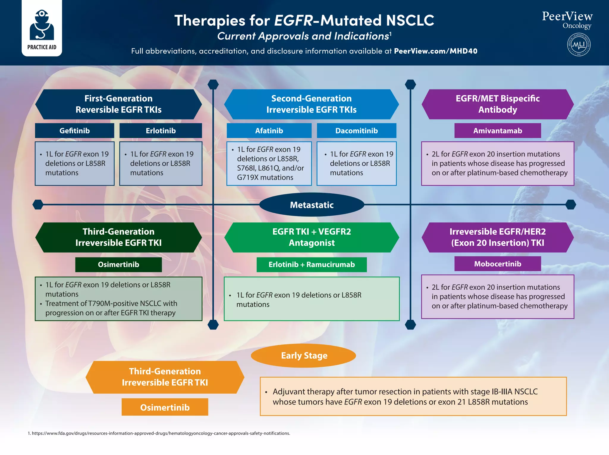 Adjuvant EGFR-Targeted Therapy as a Game Changer: How to Implement New ...