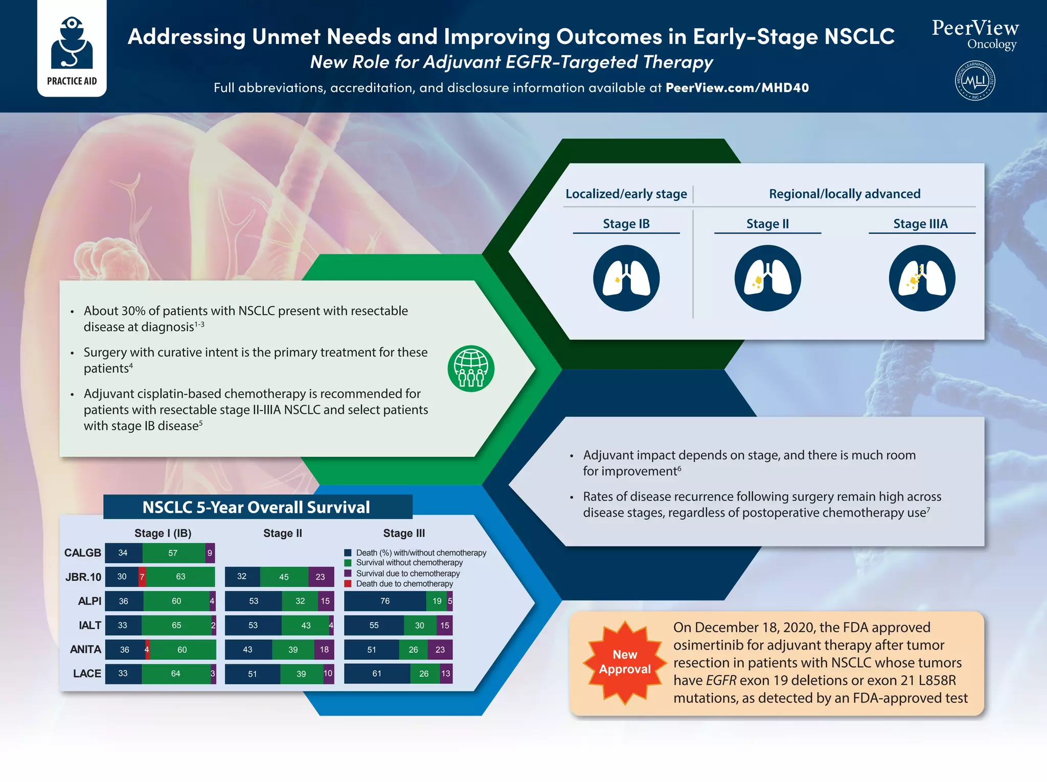 Adjuvant EGFR-Targeted Therapy as a Game Changer: How to Implement New ...