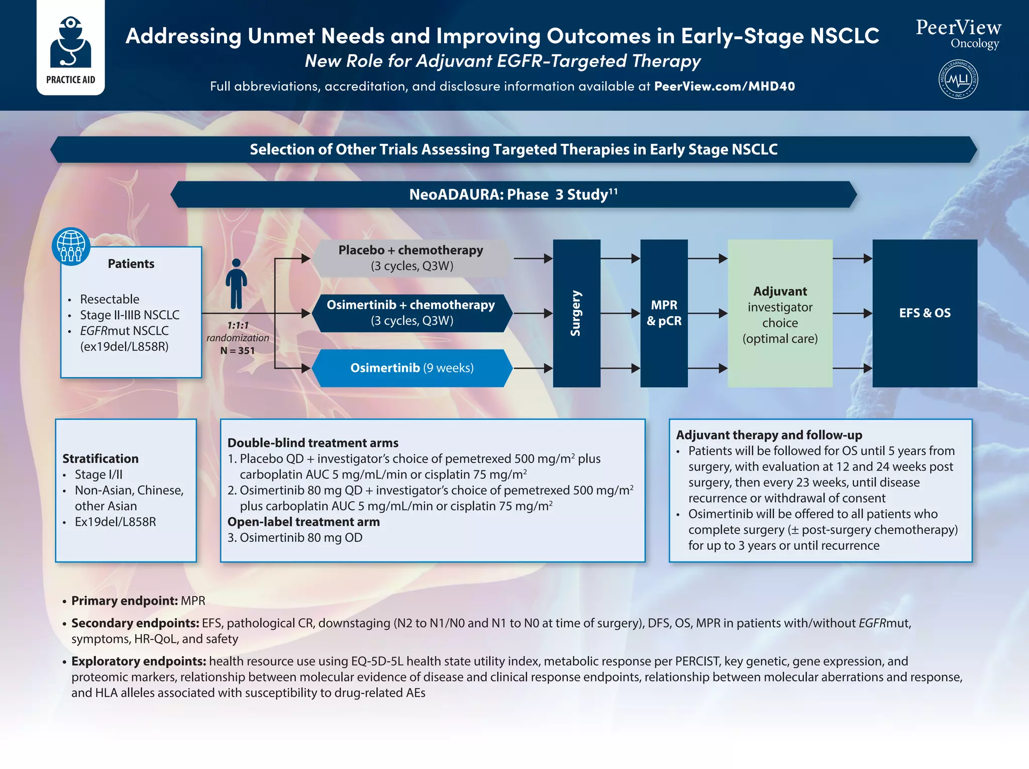 Adjuvant EGFR-Targeted Therapy as a Game Changer: How to Implement New ...