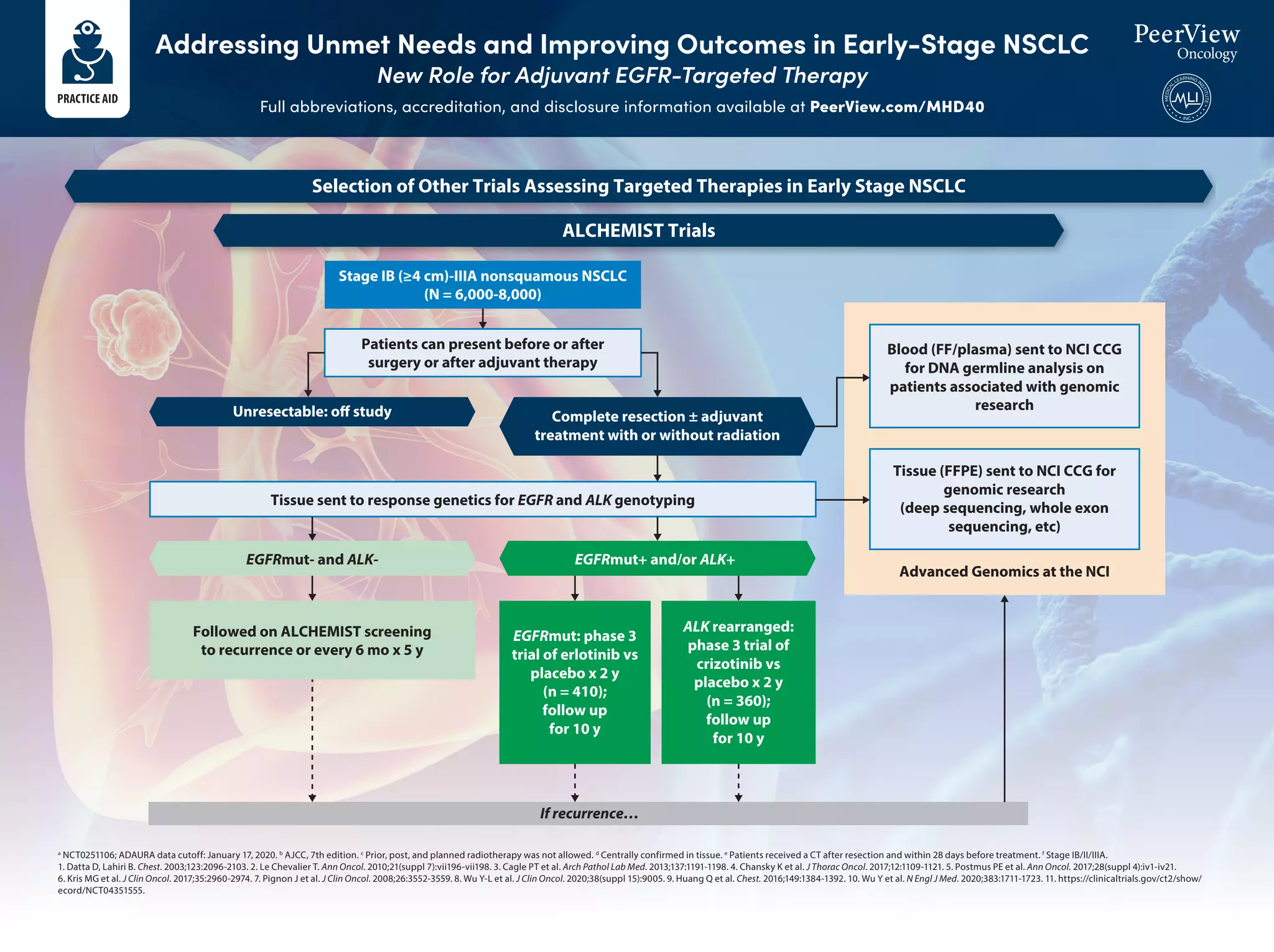 Adjuvant EGFR-Targeted Therapy as a Game Changer: How to Implement New ...