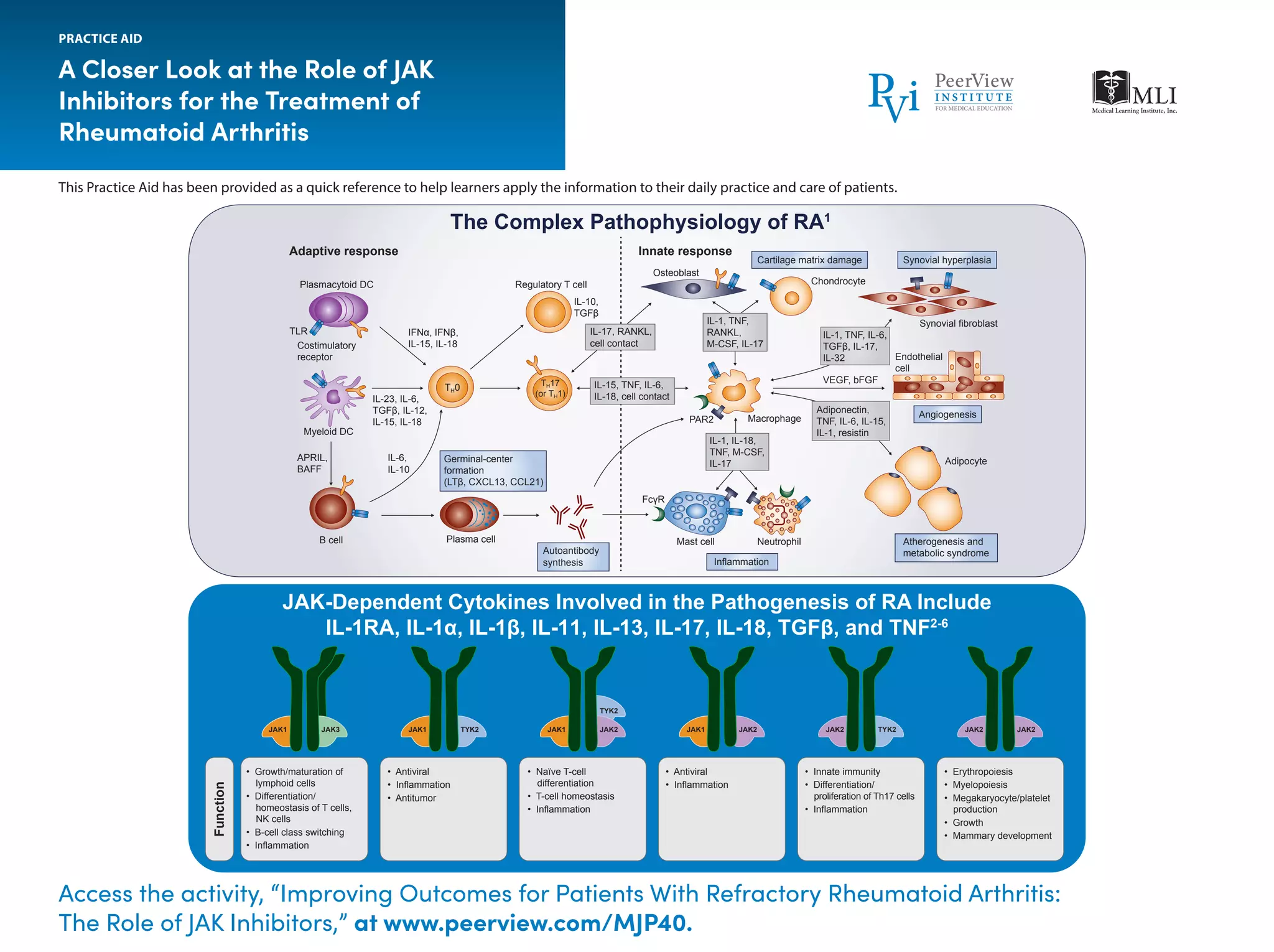 Improving Outcomes for Patients With Refractory Rheumatoid Arthritis ...