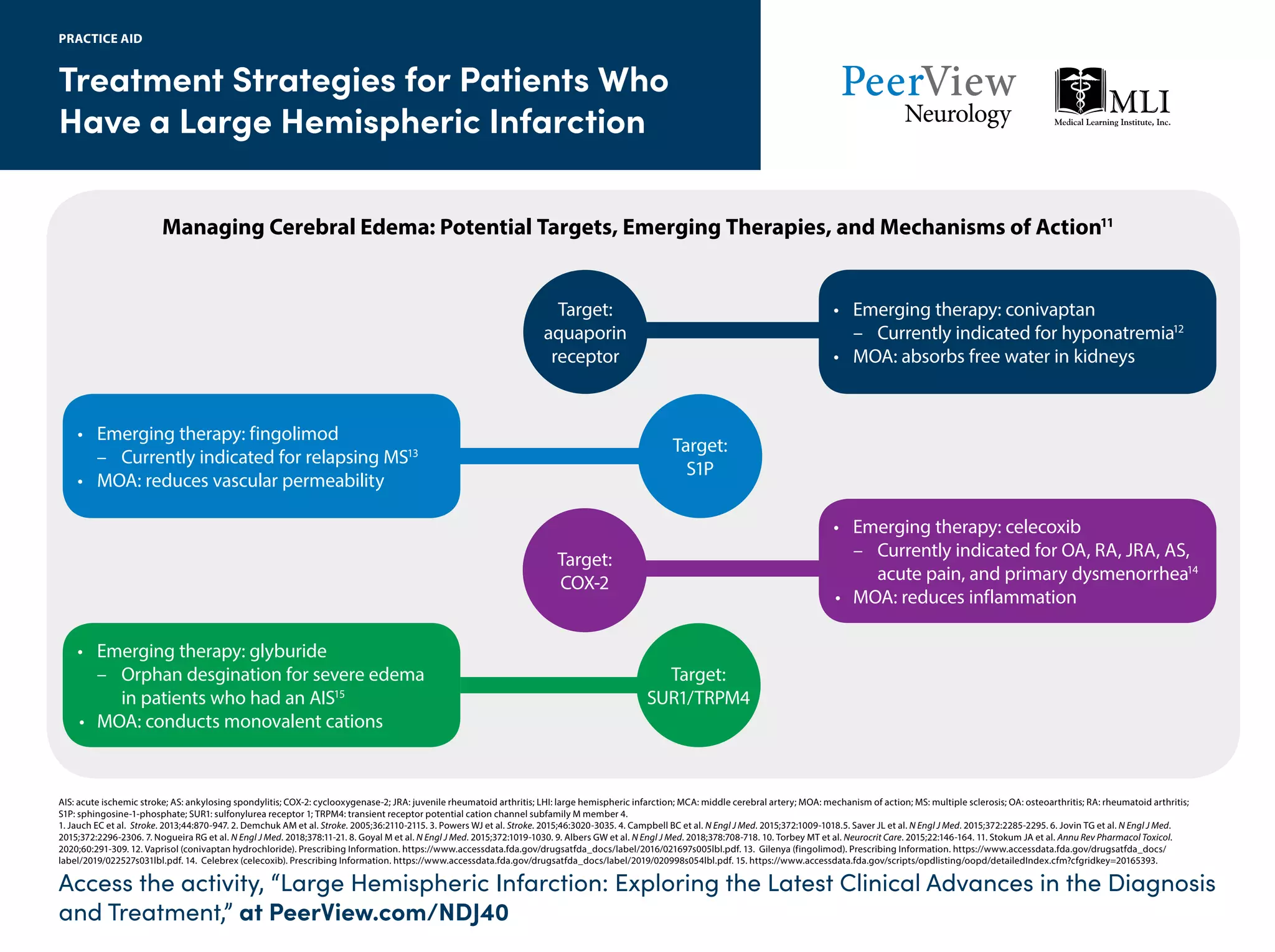 Large Hemispheric Infarction: Exploring the Latest Clinical Advances in ...