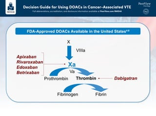 Reducing the Global Burden of Cancer-Associated VTE: Applying Guideline ...